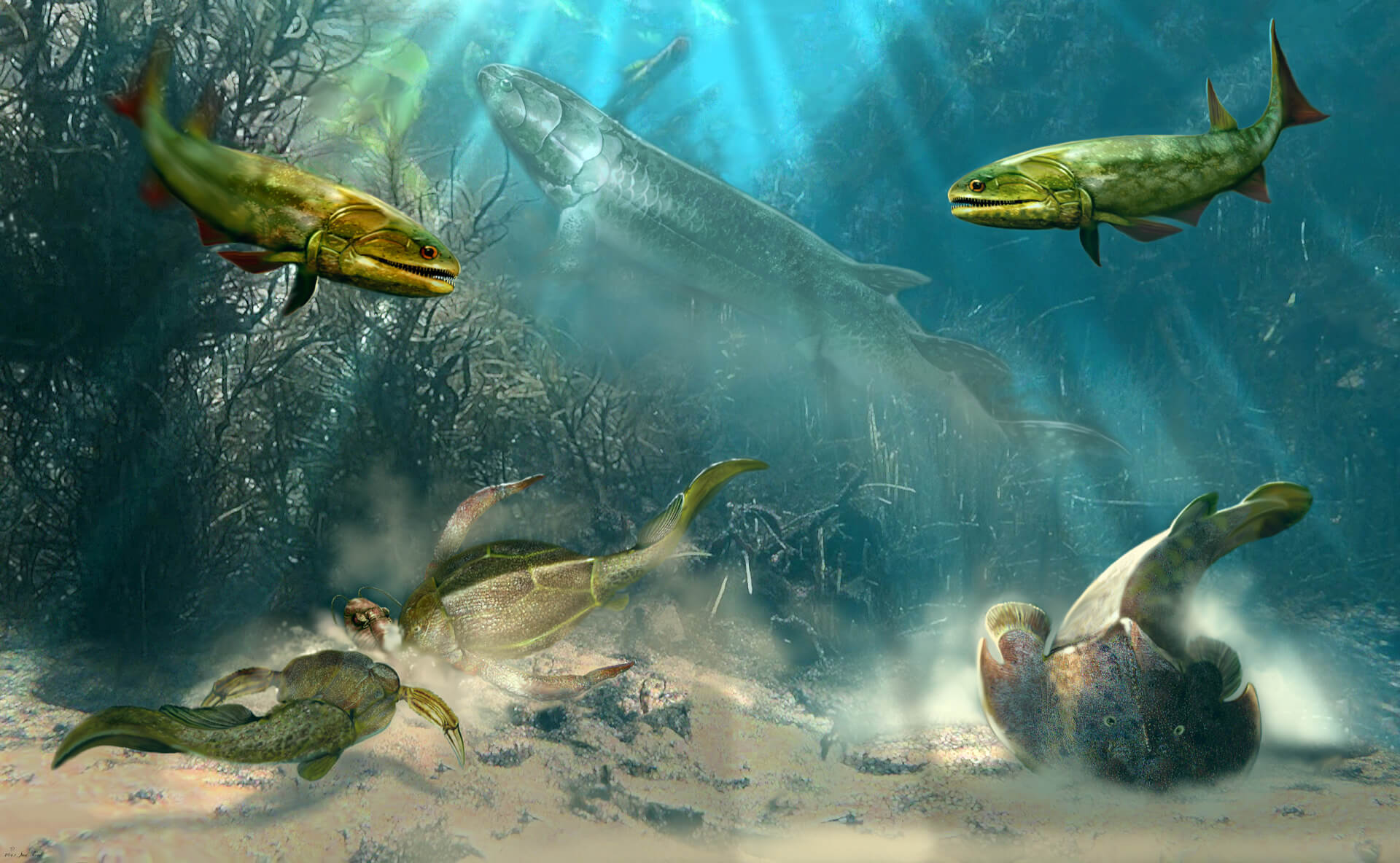 Onlea - Paleontology: Early Vertebrate Evolution