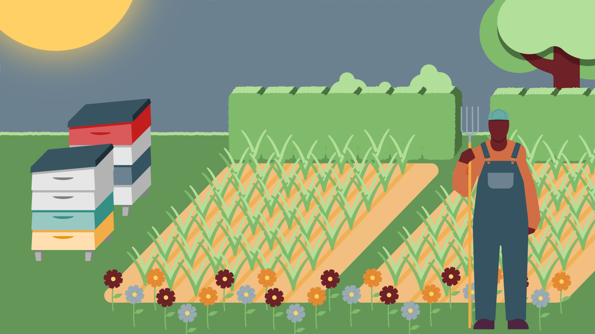 Onlea - Bugs 101: Insect-Human Interactions - University of Alberta